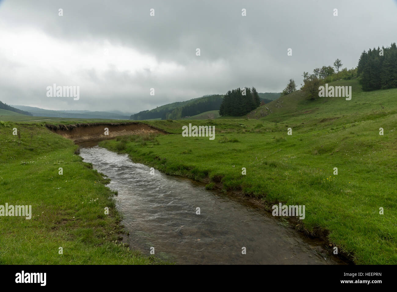 Stream on a meadow in the mountains landscape Stock Photo - Alamy
