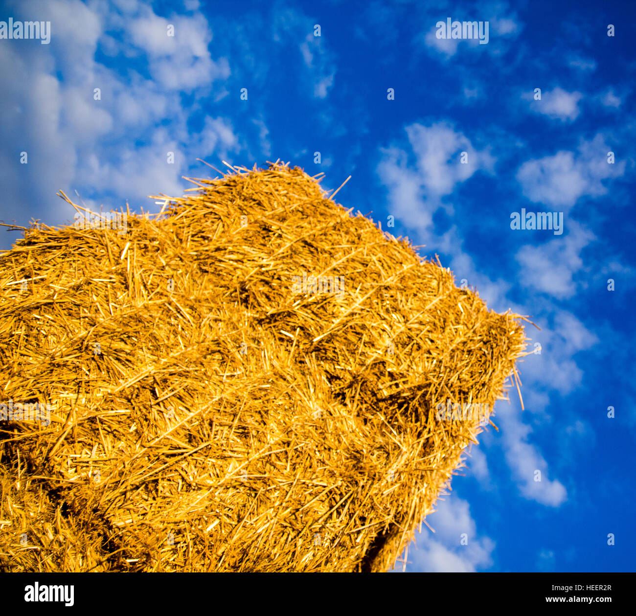 Bailed Hay High Resolution Stock Photography and Images - Alamy