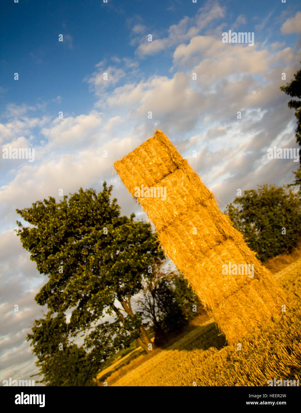 Bailed Hay, stacked and drying Stock Photo - Alamy