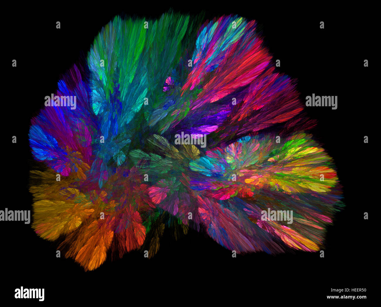 Fractal leaf patterns hi-res stock photography and images - Alamy