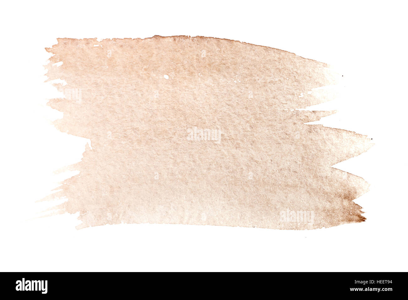 Light Tan Color Background