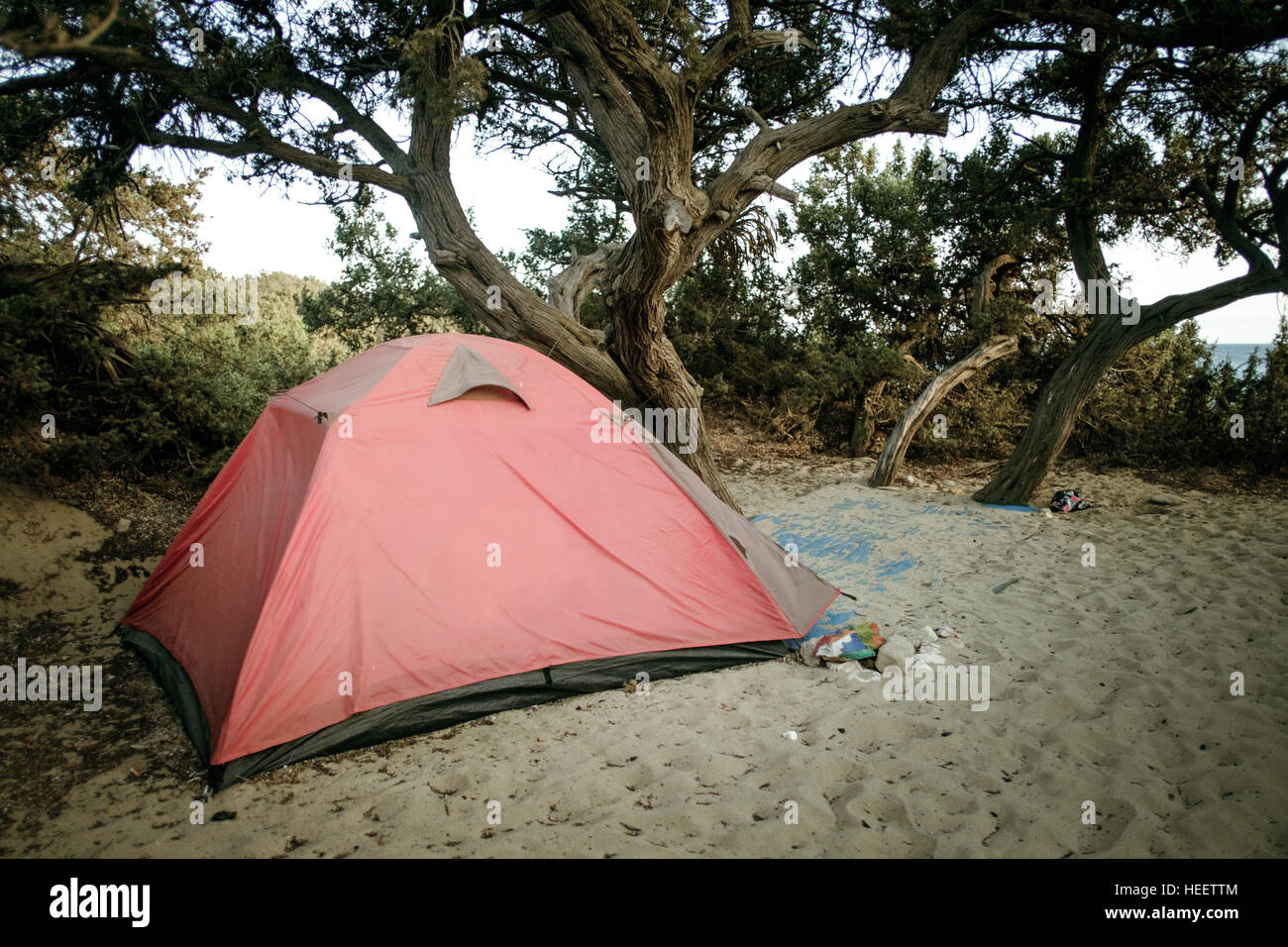 Cedar grove hi-res stock photography and images - Alamy