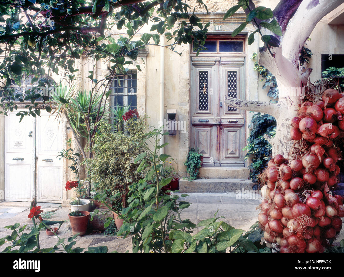 Red onions strings hanging on lemon tree in front of Venetian villa ...