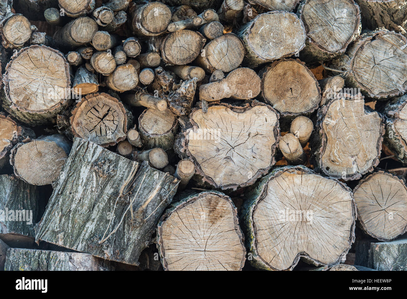Logged wood hi-res stock photography and images - Alamy