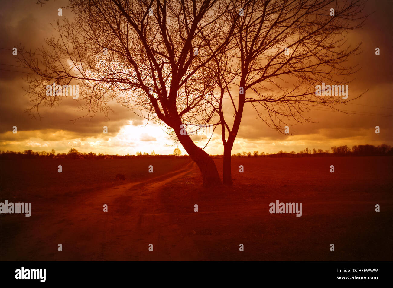 Dark and spooky hi-res stock photography and images - Alamy