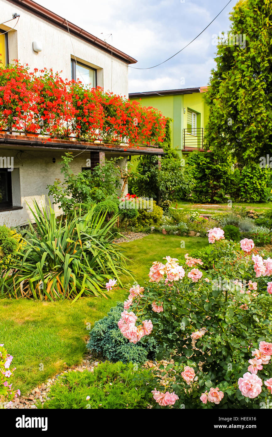 Red geranium flowers in pots on the balcony of a family house Stock ...