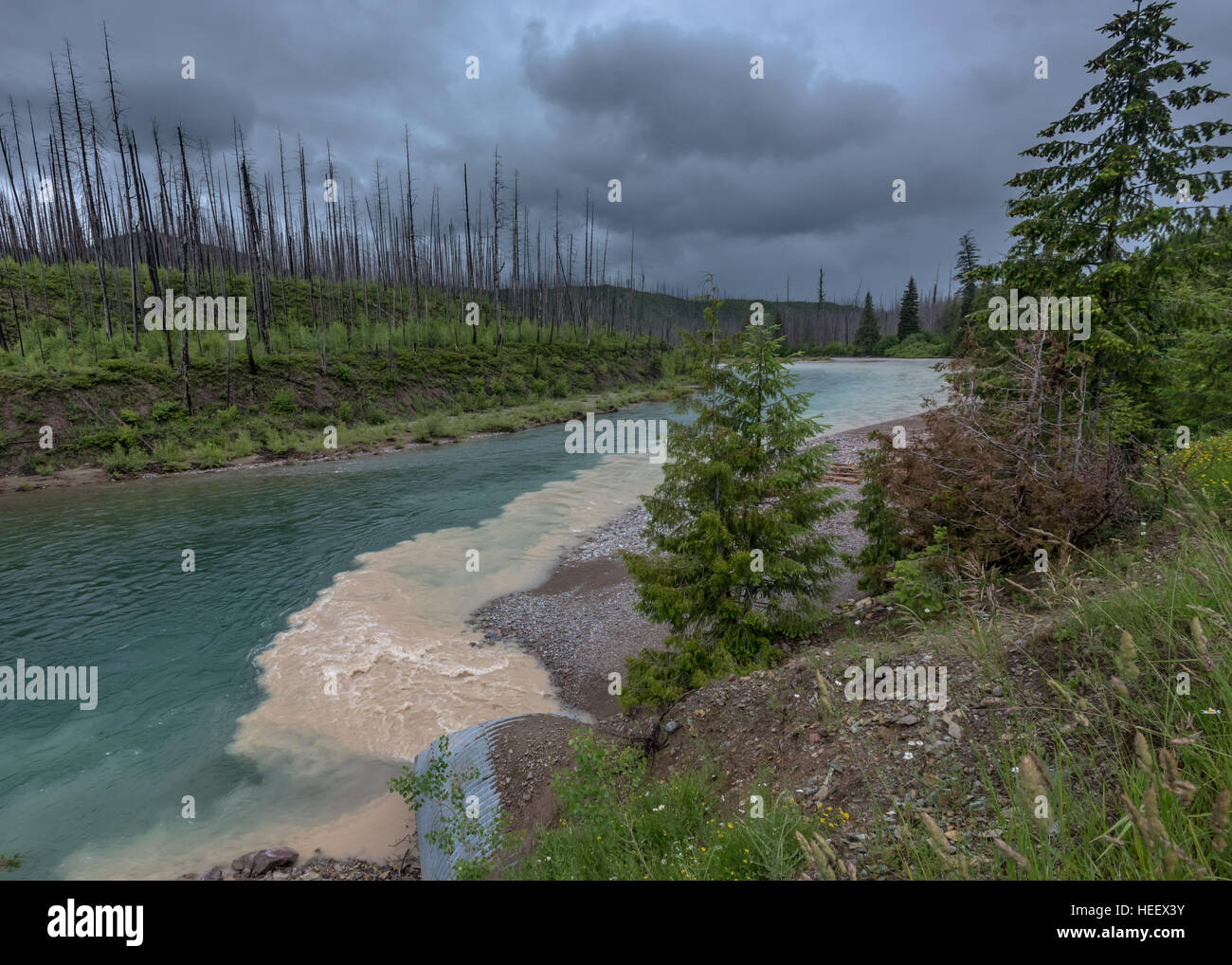 Muddy Water Flows into Clear Blue Creek on Rainy Day in Montana Stock ...