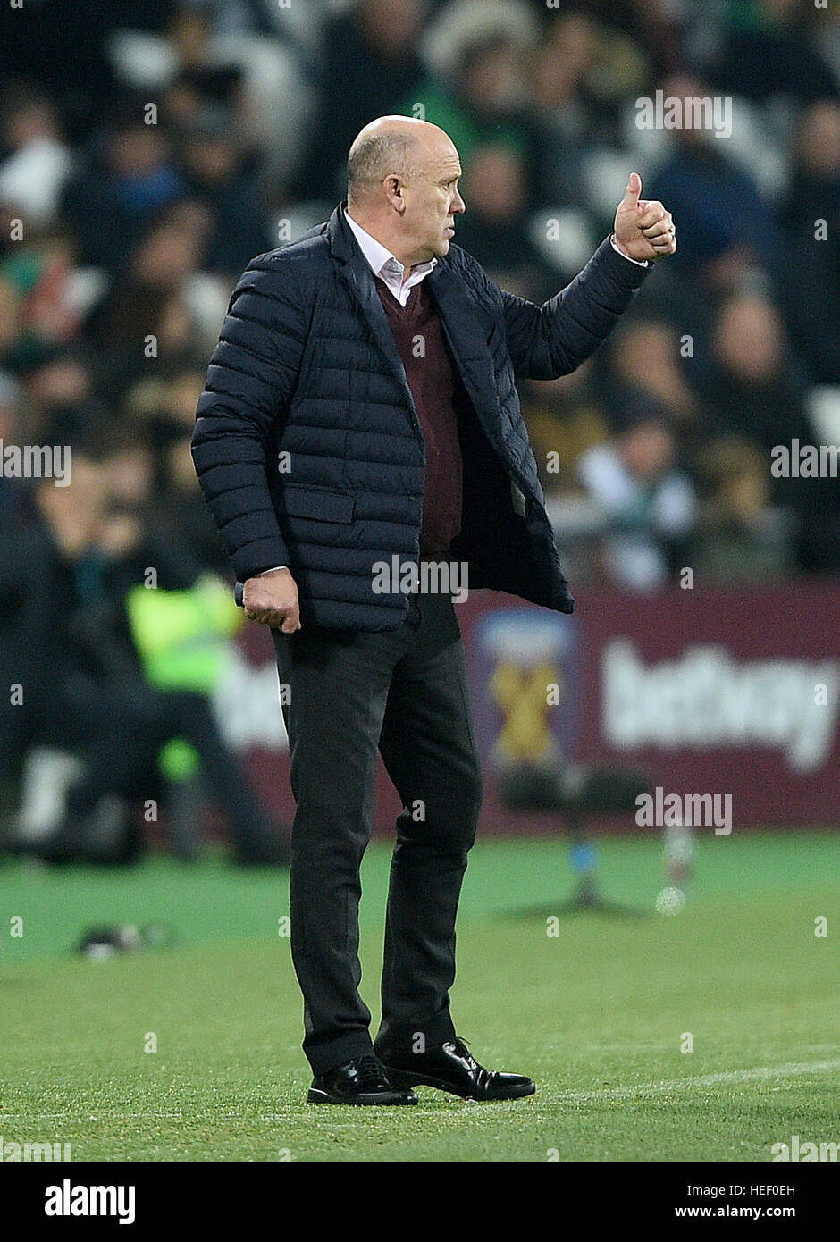 Hull city manager mike phelan gestures on touchline hi-res stock ...