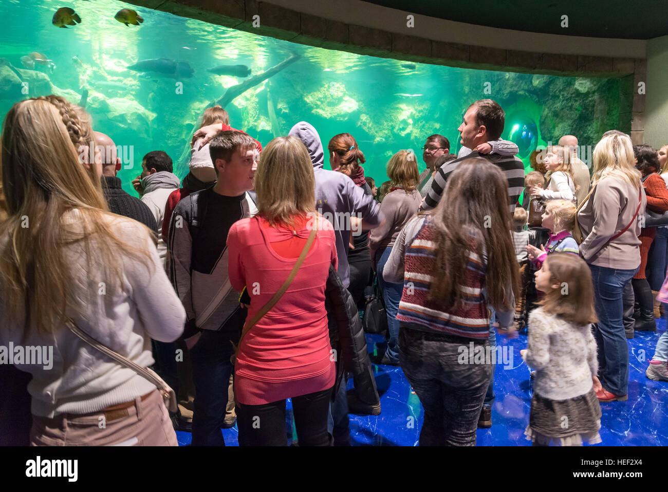 Moscow aquarium hi-res stock photography and images - Alamy