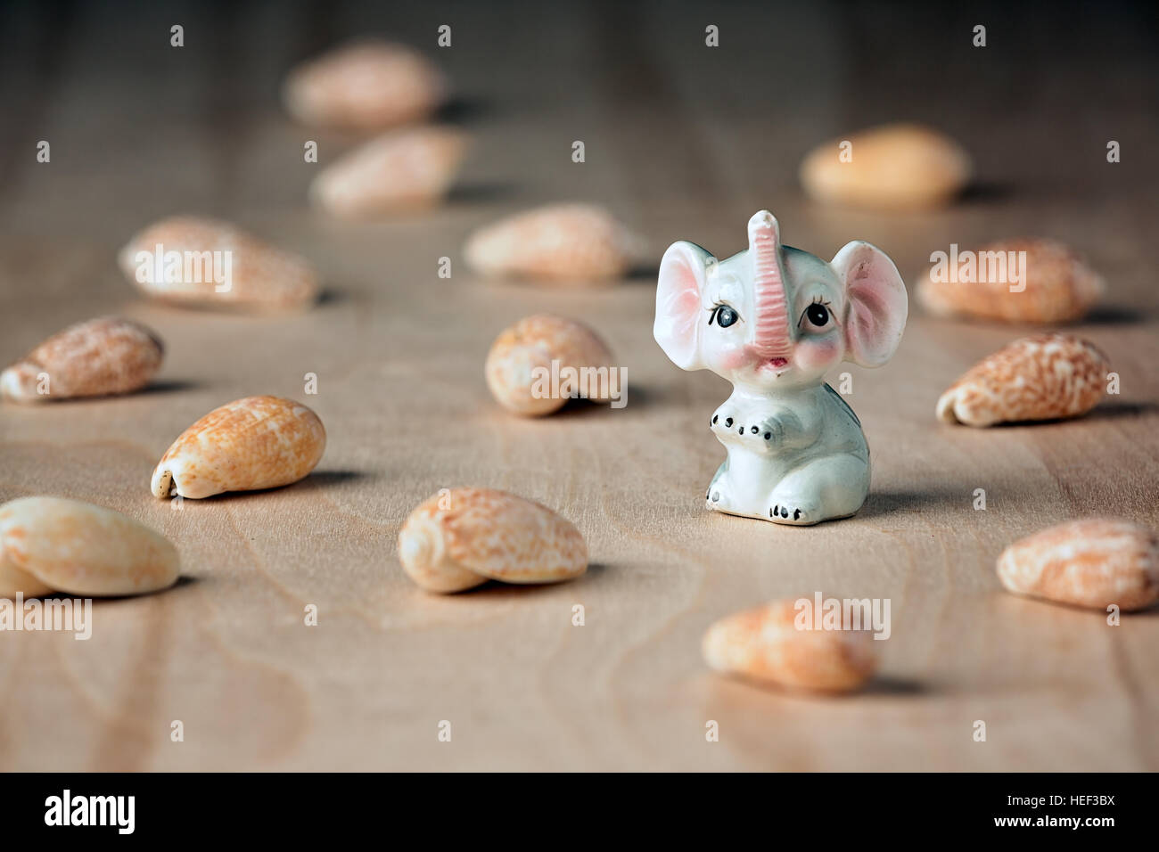 Differentiation hi-res stock photography and images - Alamy