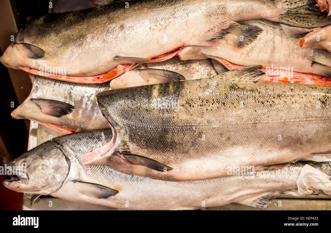 Fresh salmon fish in supermarket hi-res stock photography and images ...