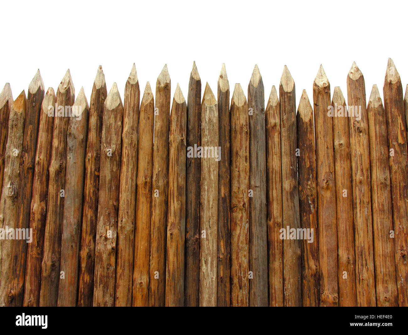 Paling hi-res stock photography and images - Alamy