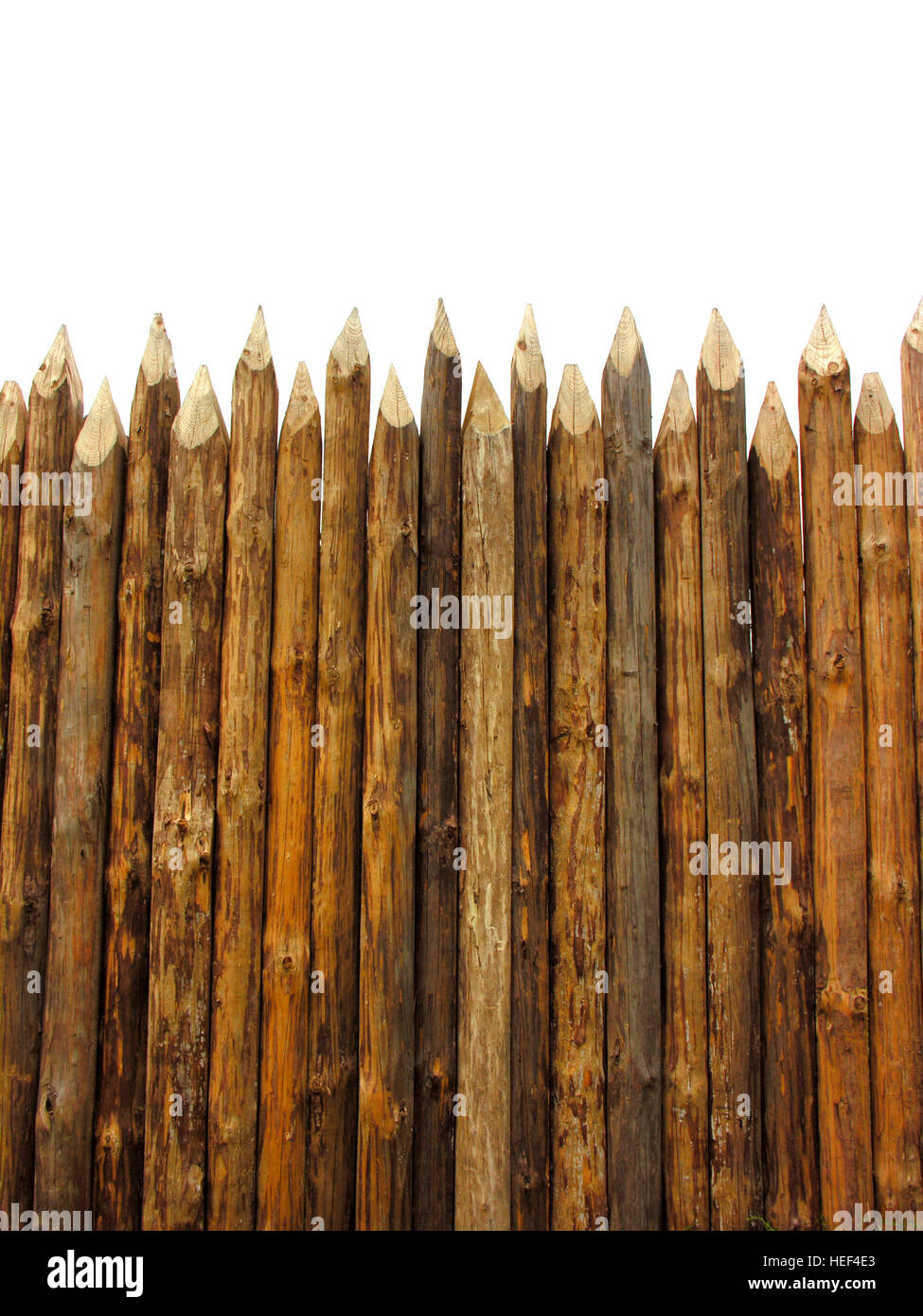 Paling hi-res stock photography and images - Alamy