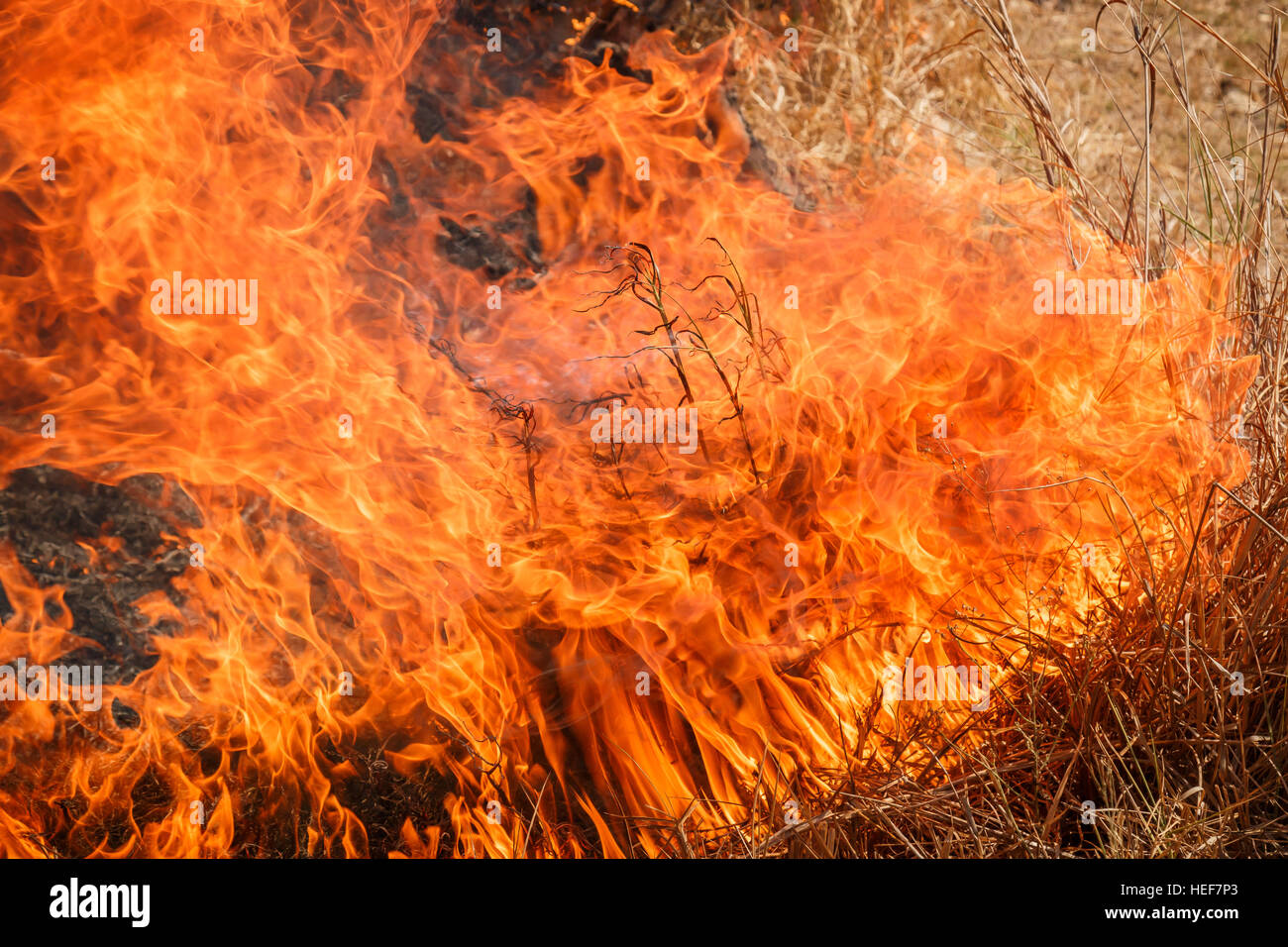 Field burning hi-res stock photography and images - Alamy