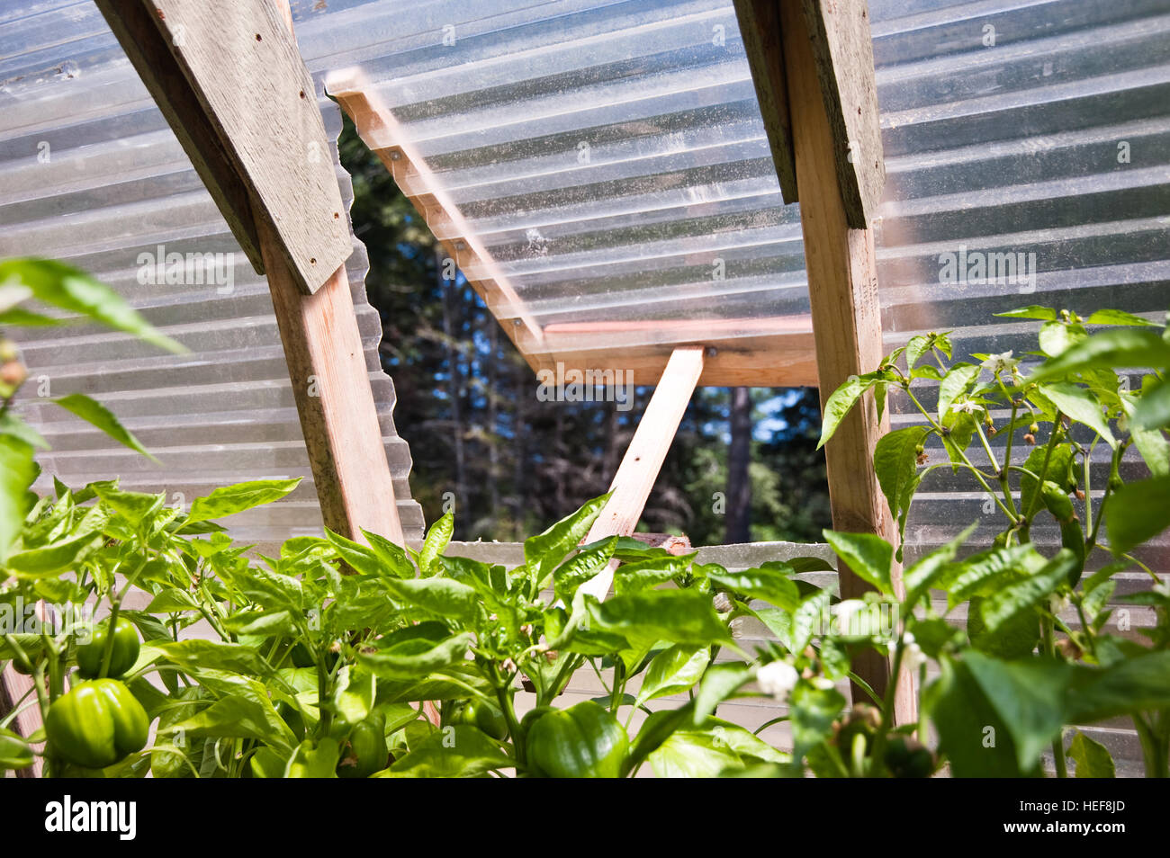 Greenhouse structure hi-res stock photography and images - Alamy