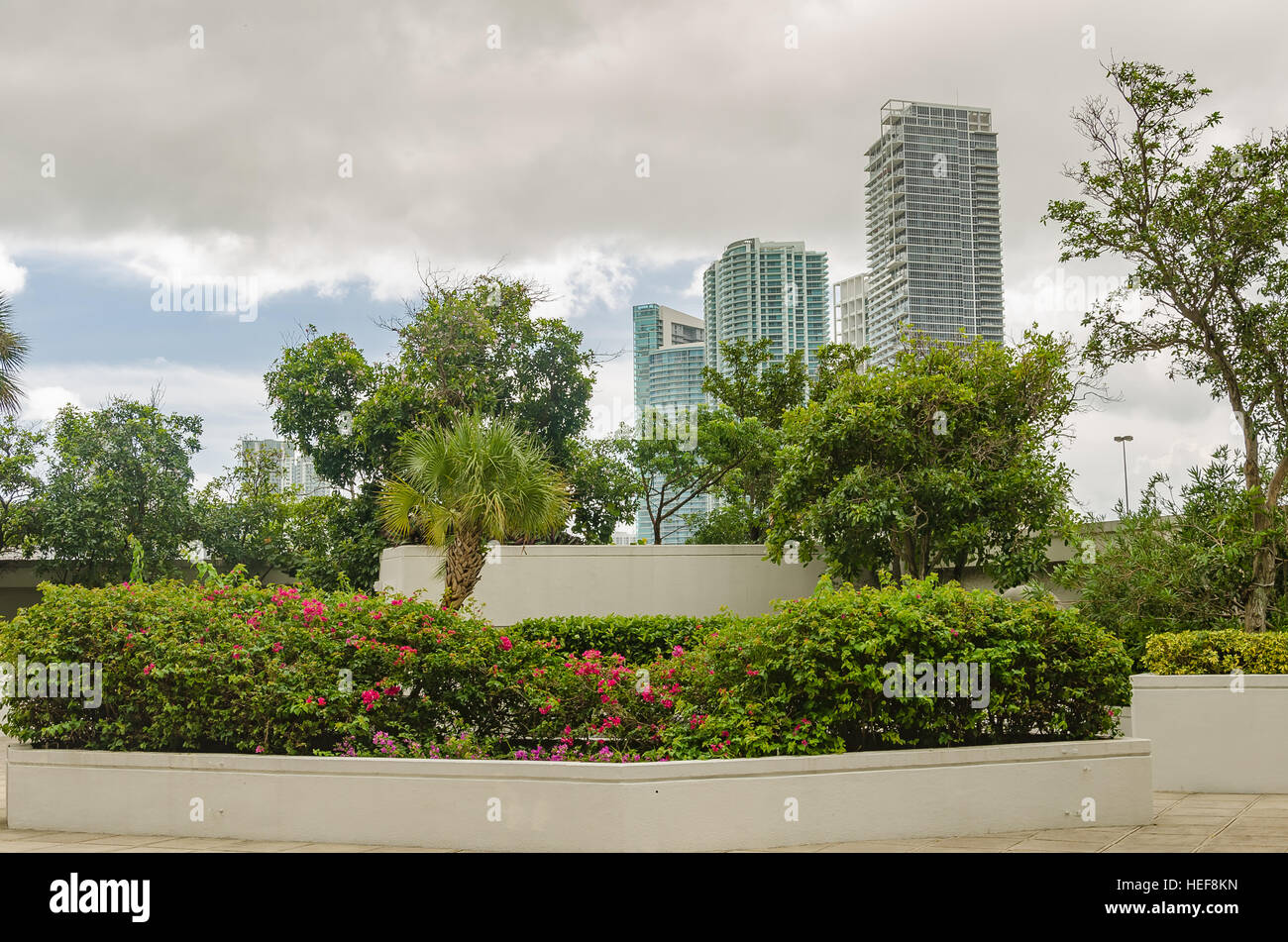 Miami city downtown hi-res stock photography and images - Alamy
