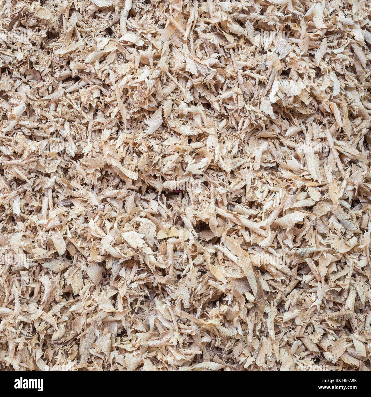 Pile of wood sawdust for background or texture Stock Photo - Alamy