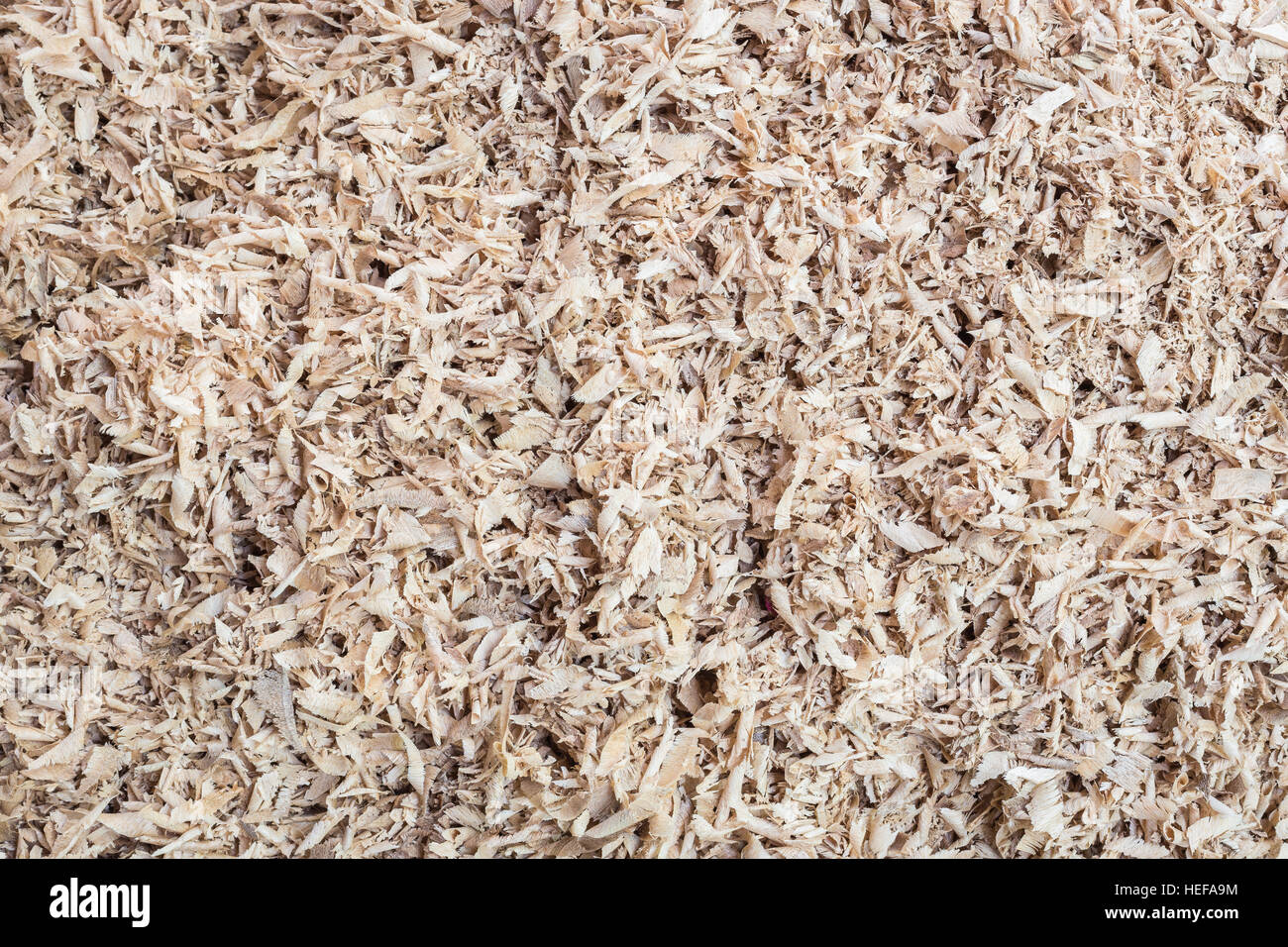 Pile of wood sawdust for background or texture Stock Photo - Alamy