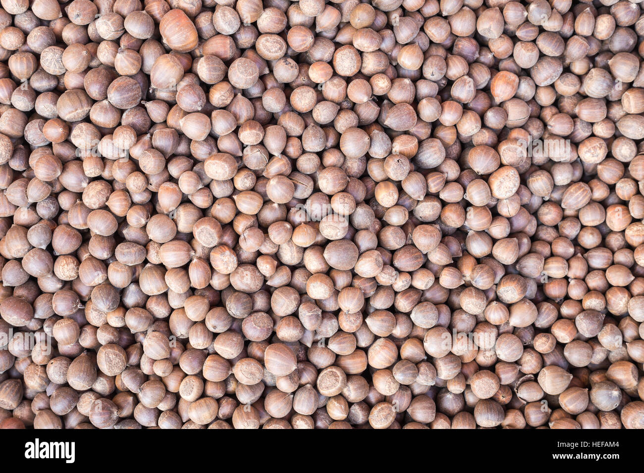 Top view pile of small chestnuts in market, Food background or texture ...
