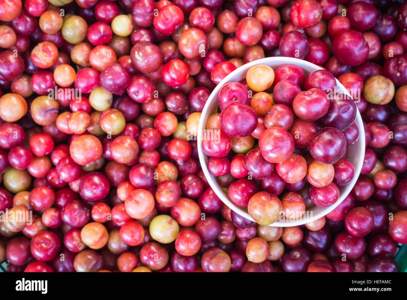 Close up local Thai forest berry fruit in Chiang Mai market Stock Photo ...