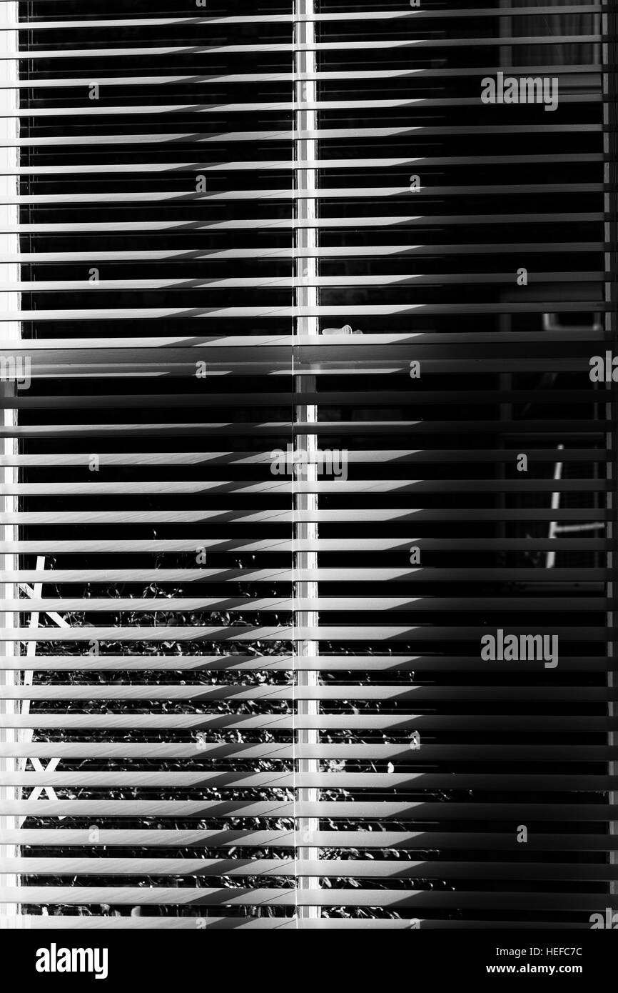 Venetian Blind Effect Photography at Alica Martel blog