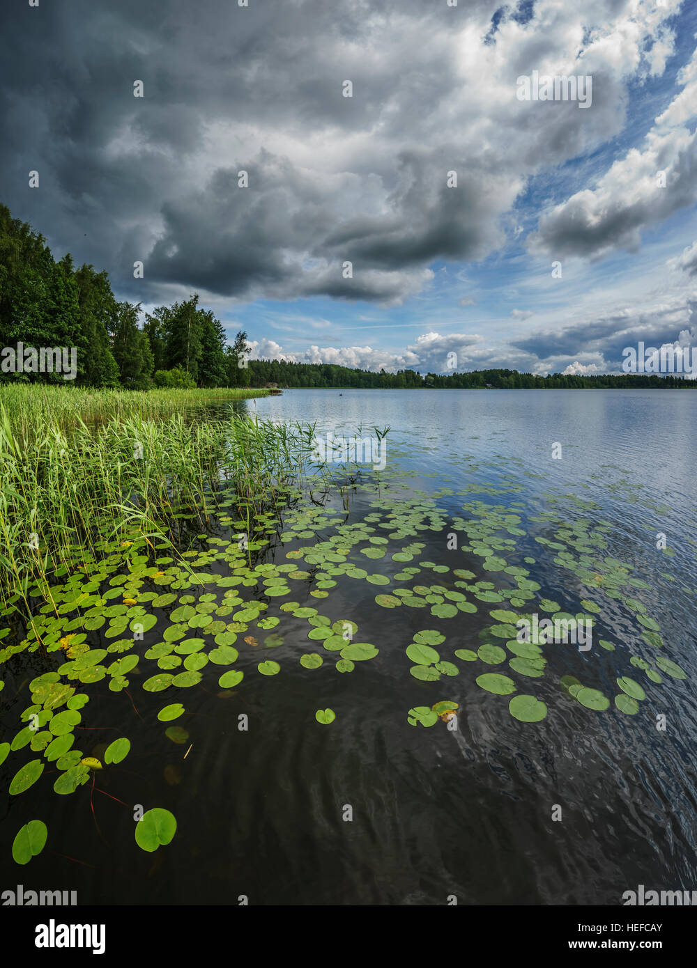 Hogland High Resolution Stock Photography and Images - Alamy