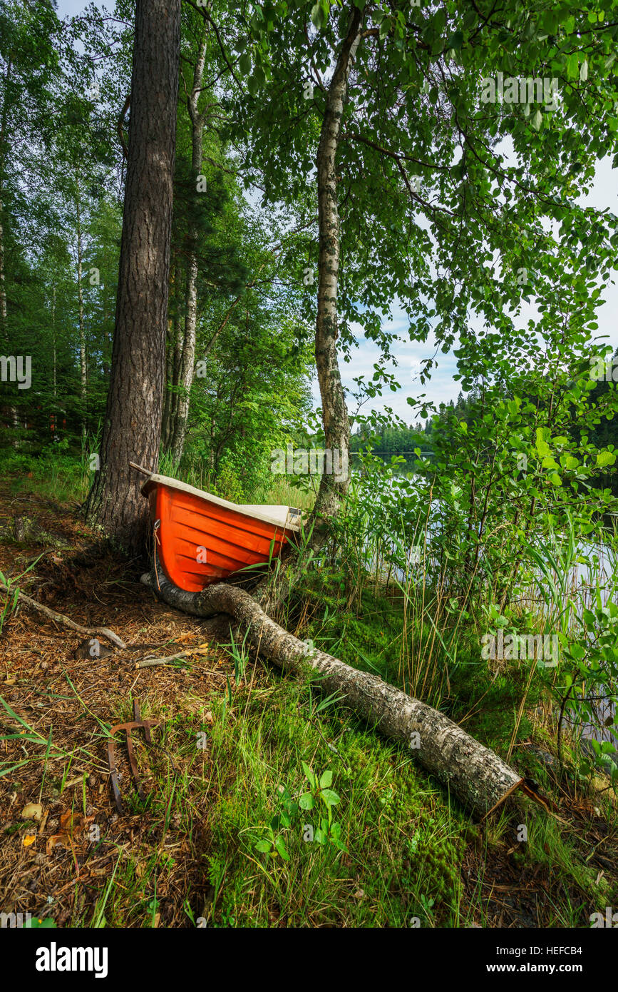 Green pine color island hi-res stock photography and images - Alamy