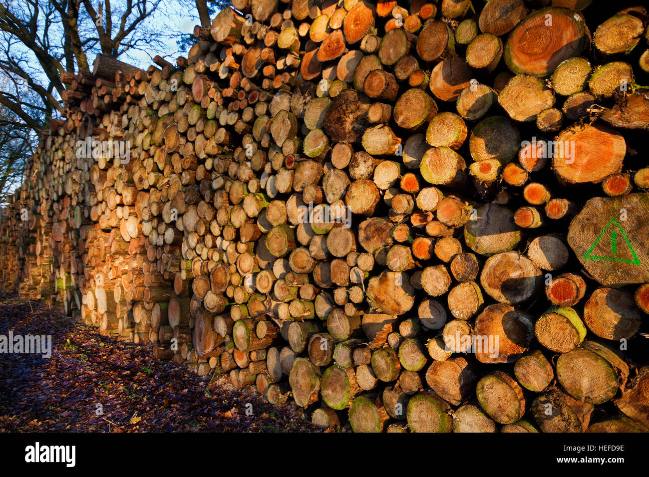 Timber, stacked along the roadside, ready for transport Stock Photo - Alamy