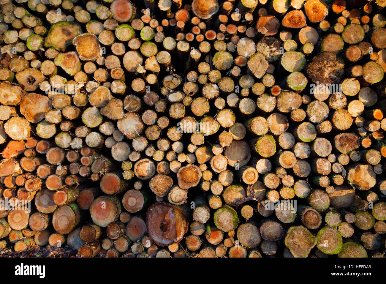 Timber, stacked along the roadside, ready for transport Stock Photo - Alamy