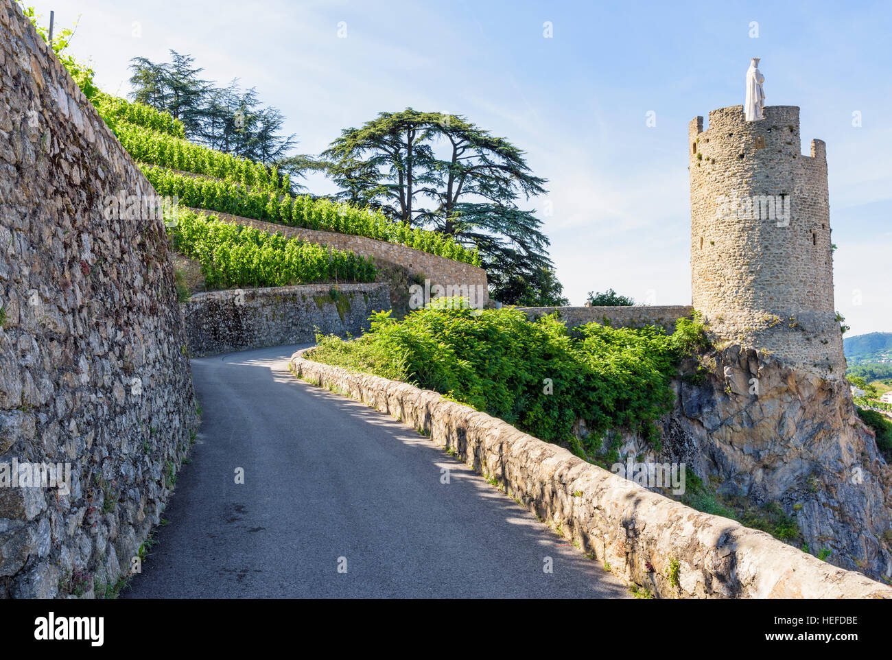 Vineyard watchtower hi-res stock photography and images - Alamy