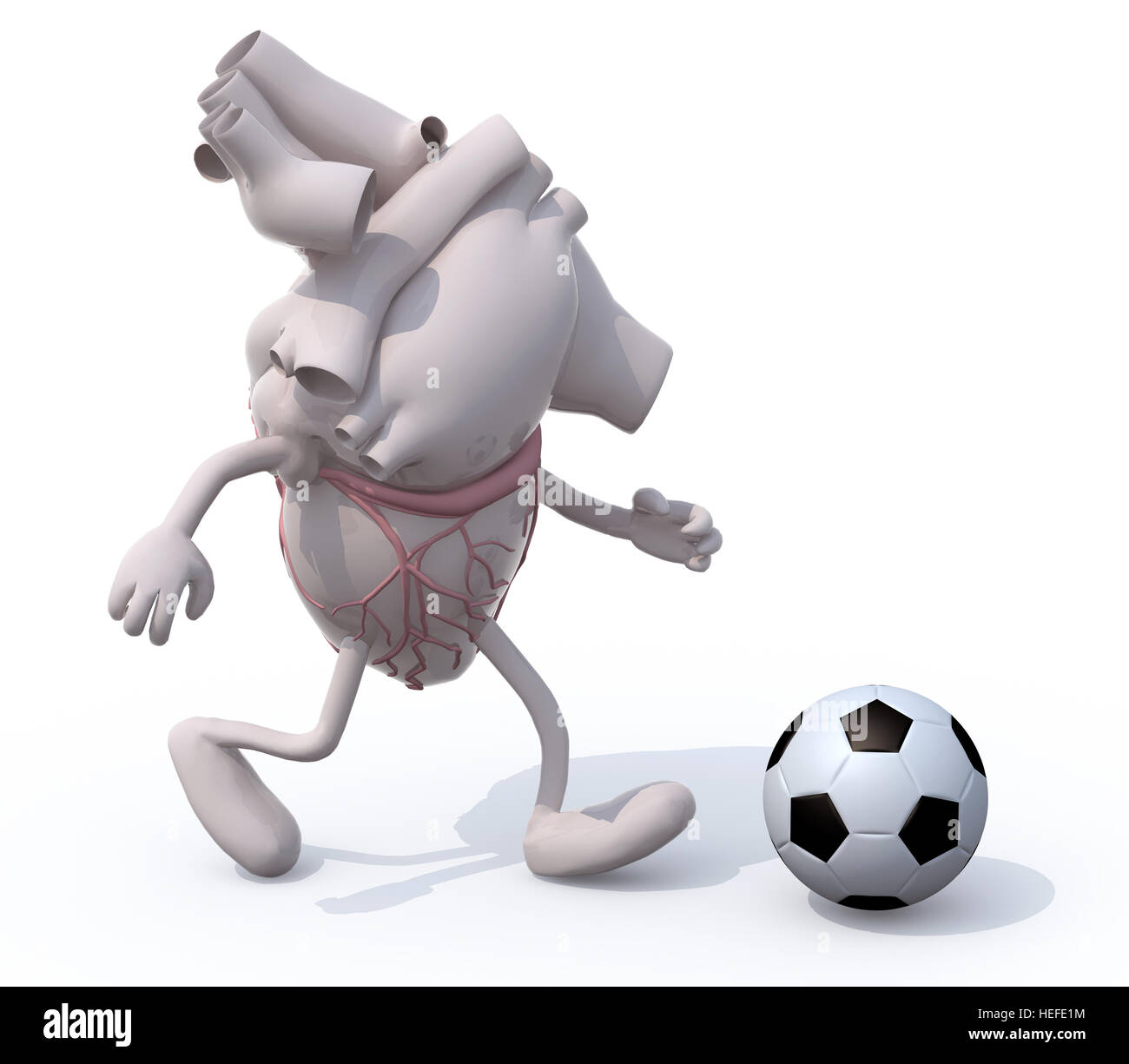 Human heart organ hi-res stock photography and images - Alamy