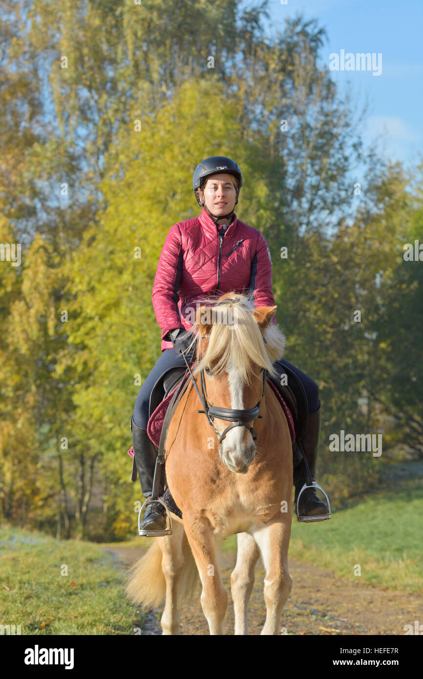 Riding horseback on Haflinger horse in autumn Stock Photo - Alamy