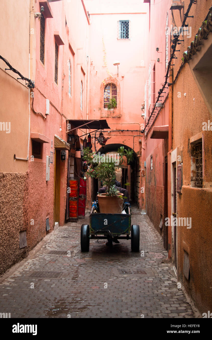 A typical street with red buildings in the center of Marrakesh in ...
