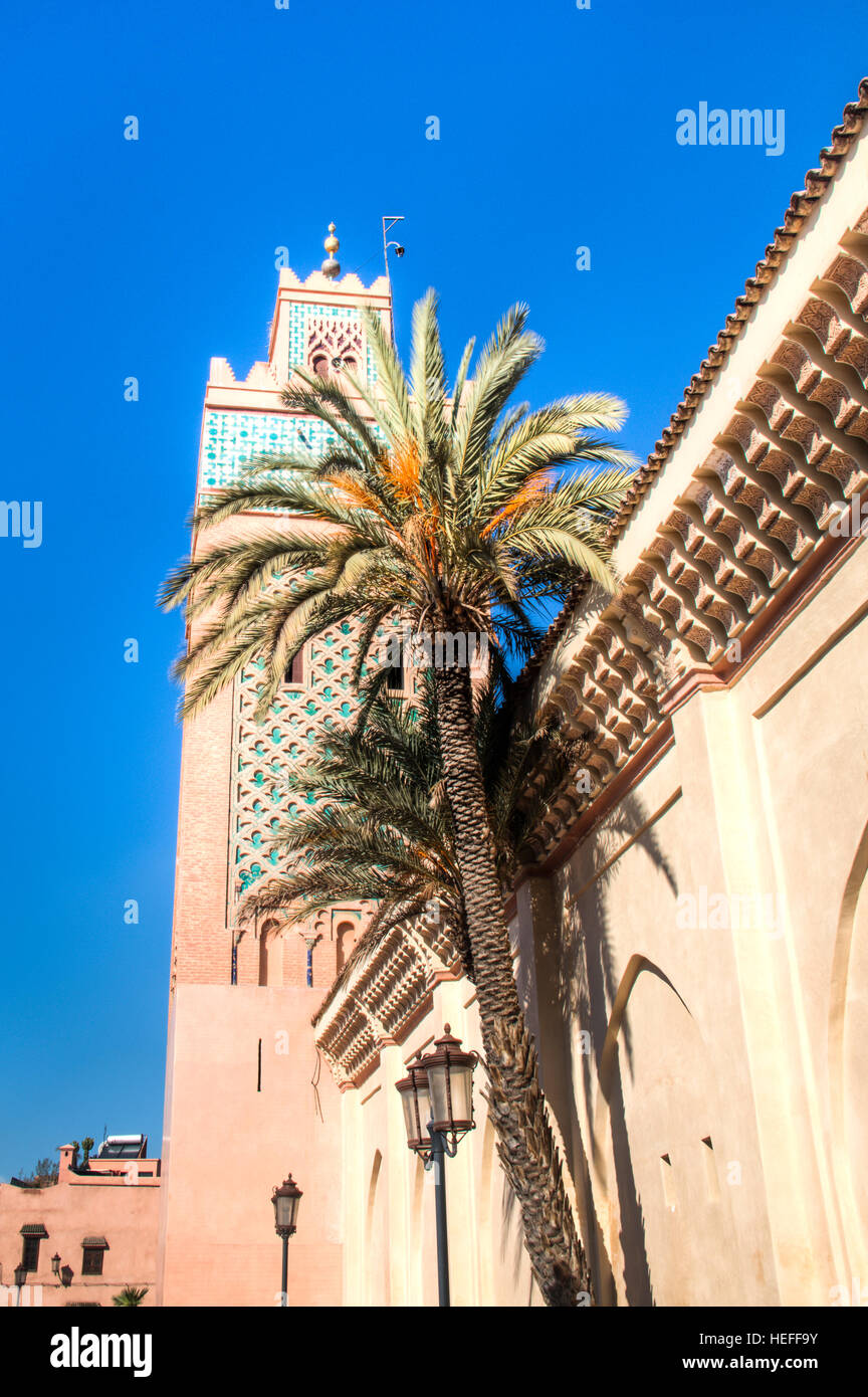 Minarette Tree High Resolution Stock Photography and Images - Alamy