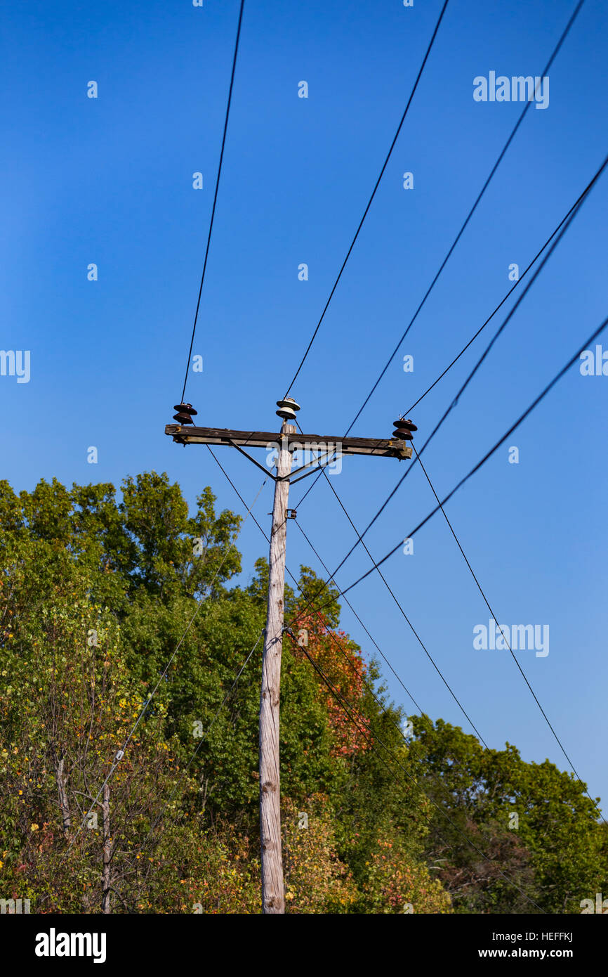 Bent, wooden utility pole sticking out of the woods against a clear ...