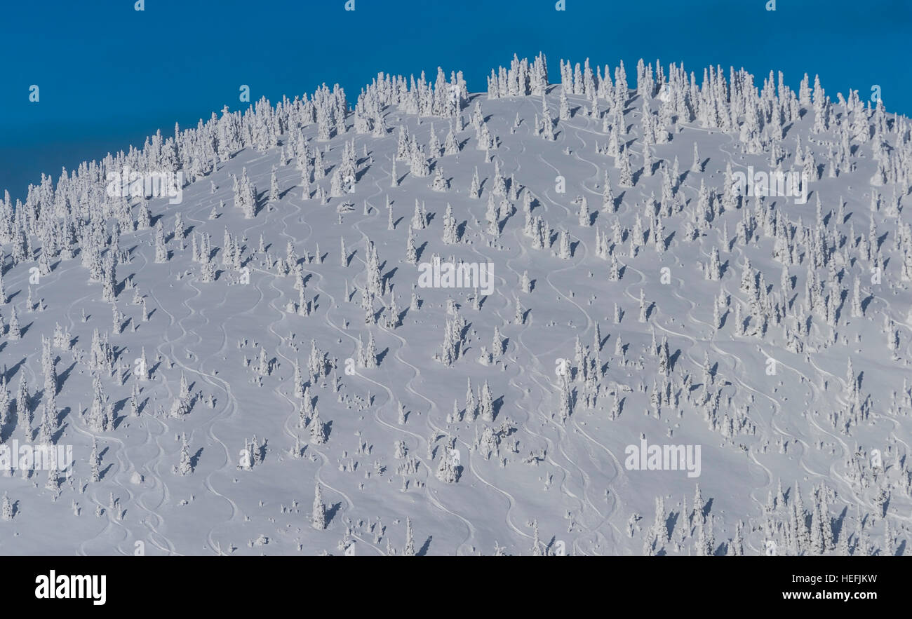 Big Mountain Ski Resort High Resolution Stock Photography and Images ...