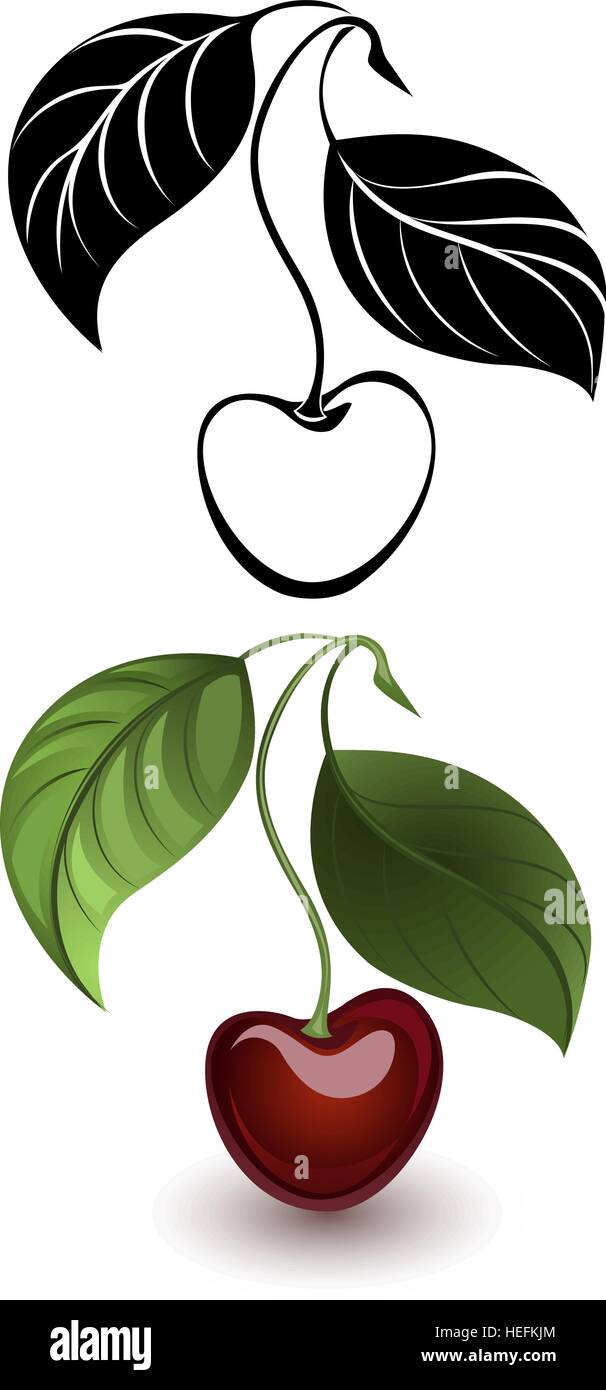 Fresh cherry red on Stock Vector Images - Alamy