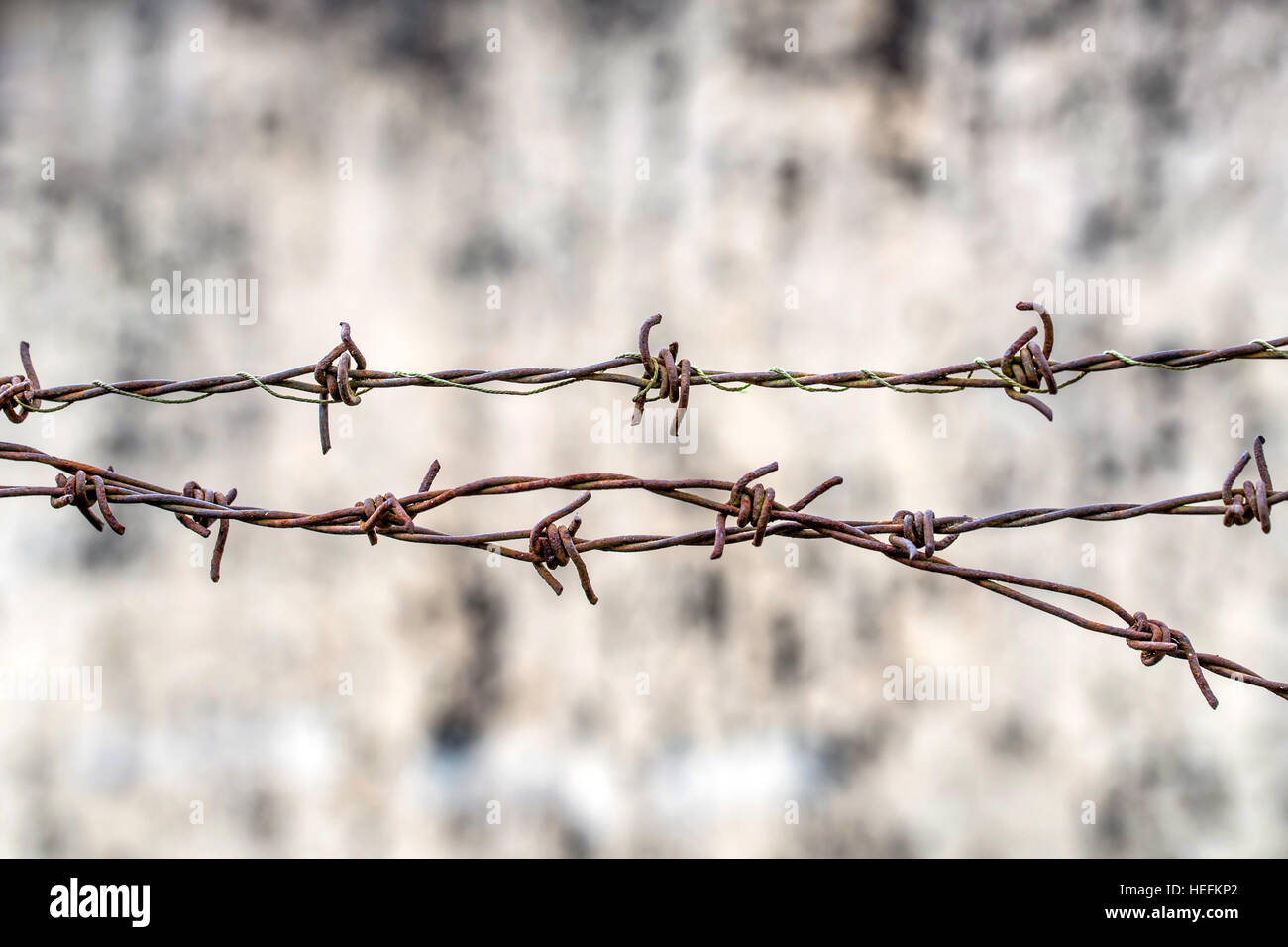 Brick wall barb wire hi-res stock photography and images - Alamy