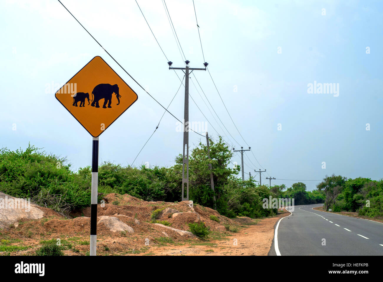 Elephant warning sign Stock Photo - Alamy