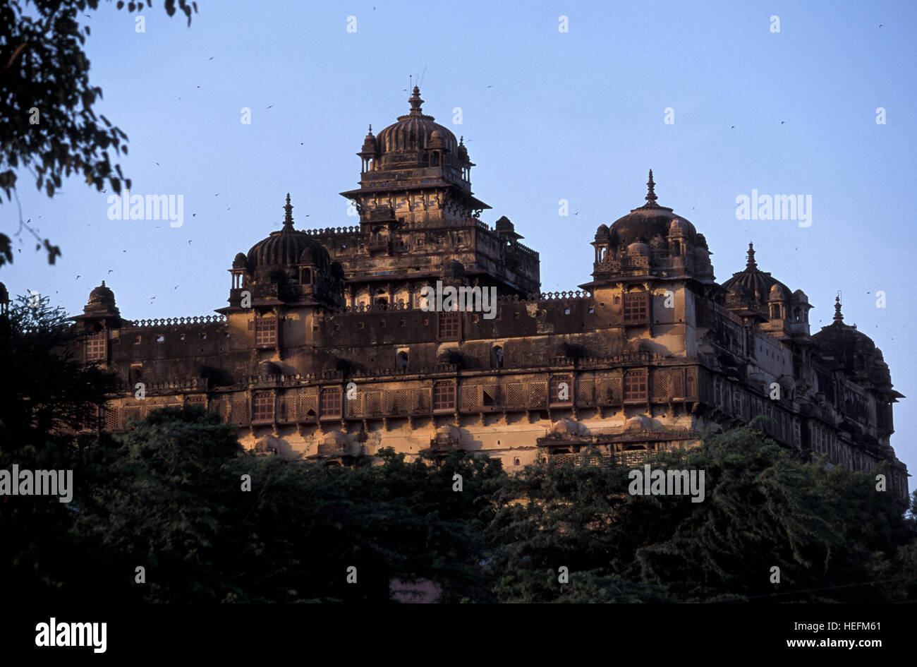 Datia madhya pradesh india hi-res stock photography and images - Alamy