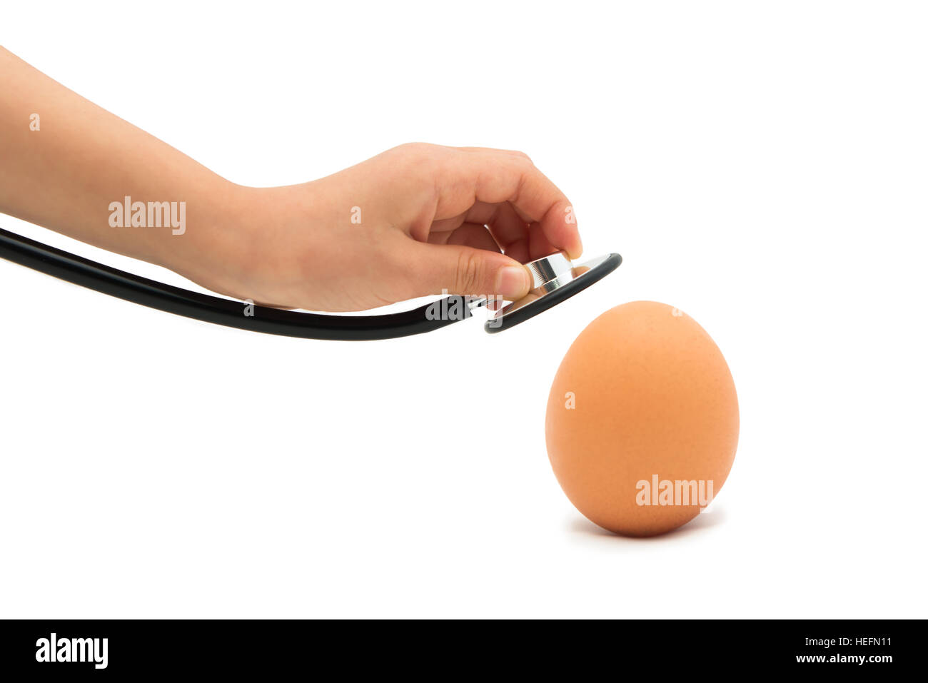 Checking For A Healthy Egg, Egg with Stethoscope with white background ...