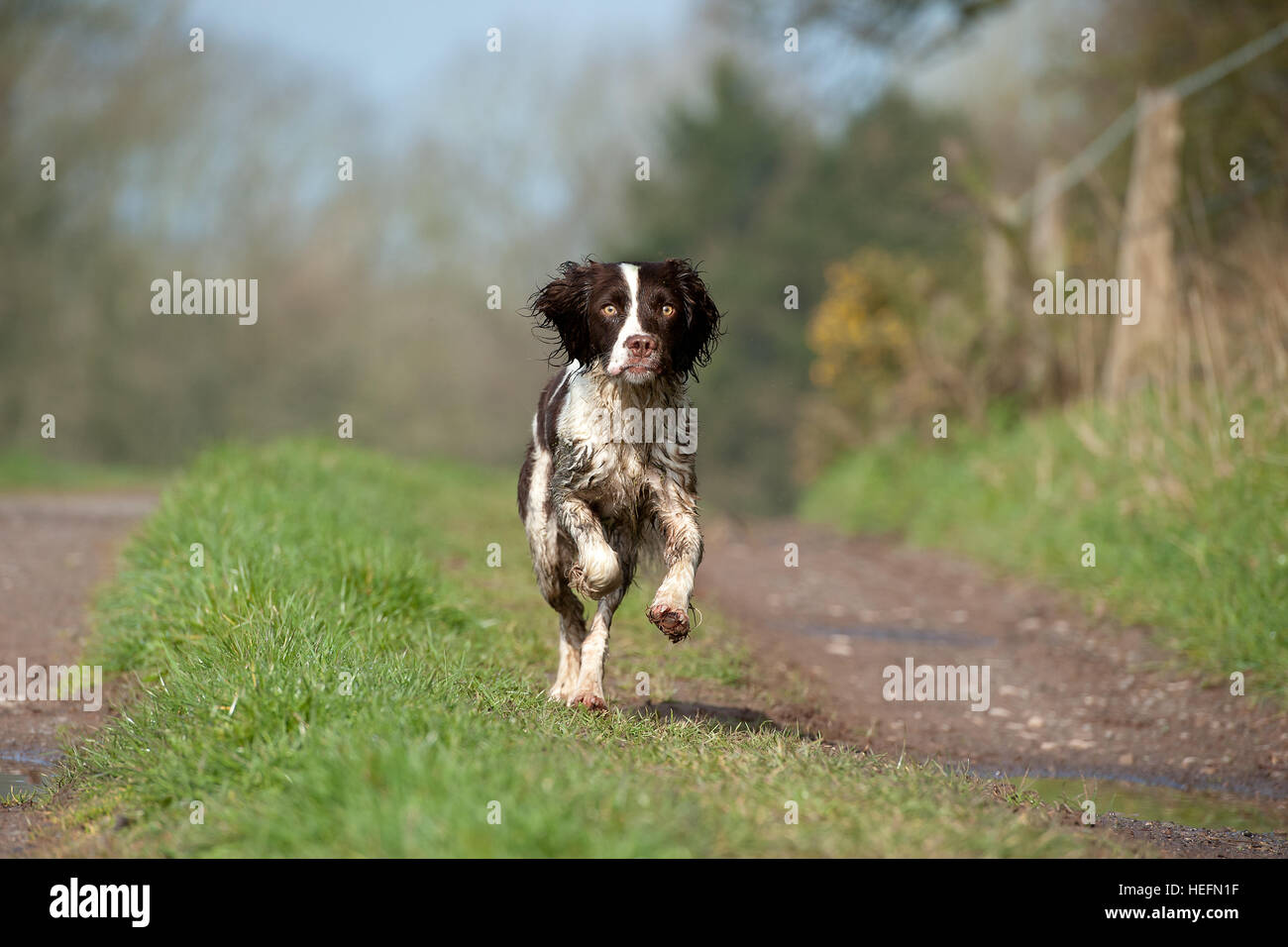 Whilst looking towards camera hi-res stock photography and images - Alamy