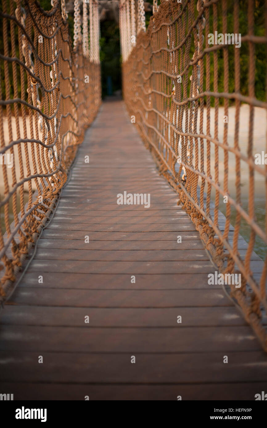 Cable bridge jungle hi-res stock photography and images - Alamy