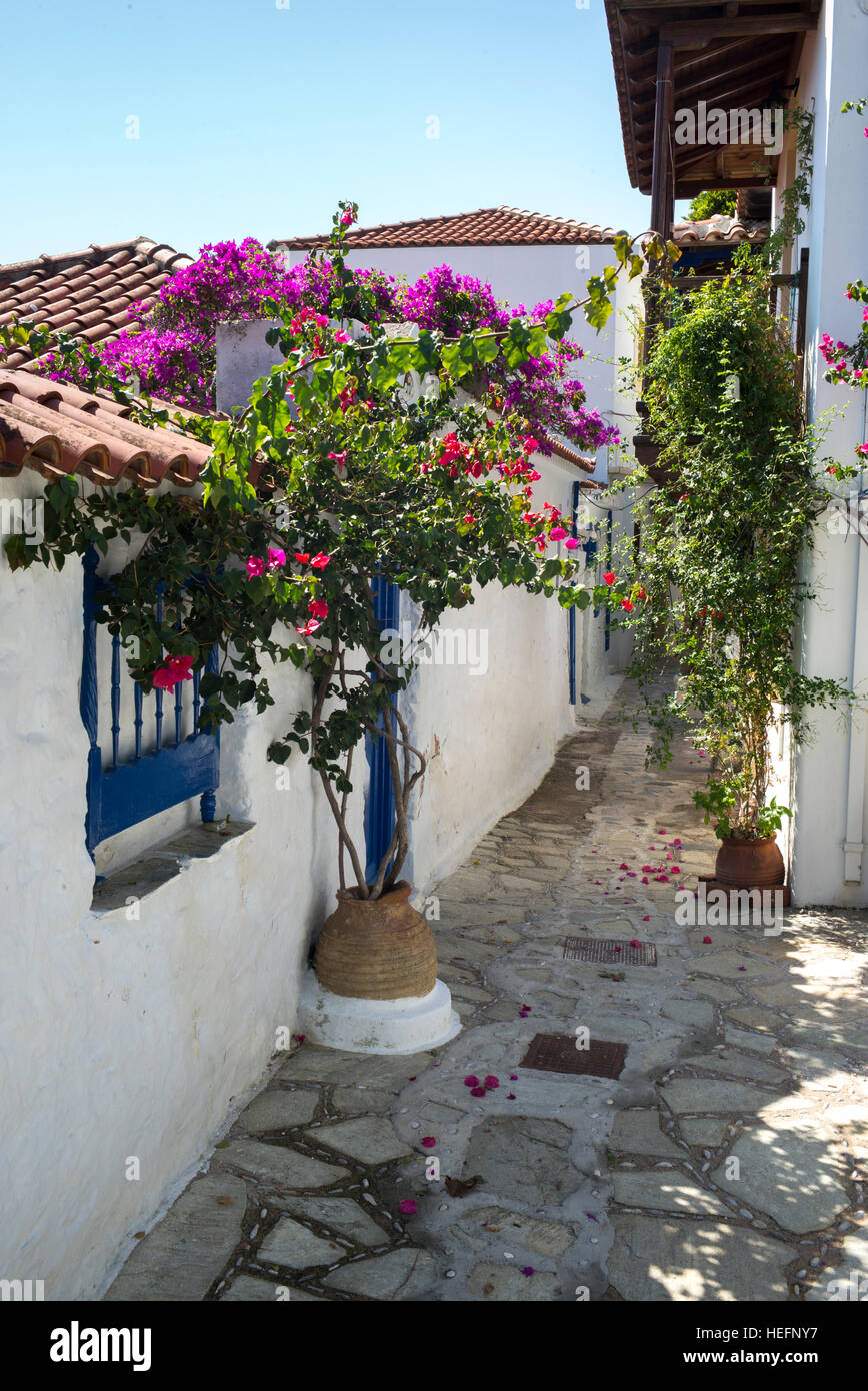 Thessalia ellada skopelos greece hi-res stock photography and images ...