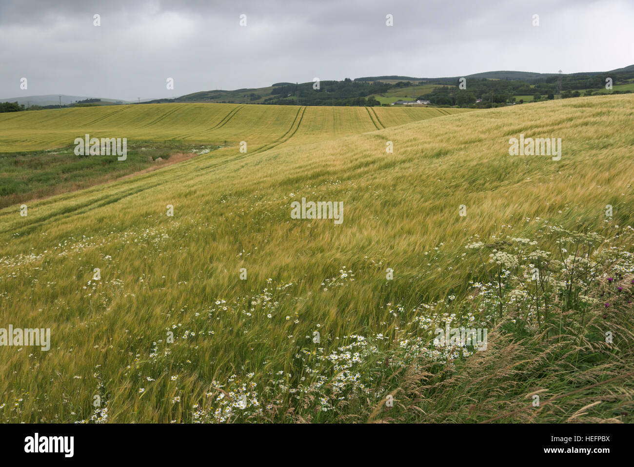 Kinross, Perth and Kinross, Scotland Stock Photo - Alamy