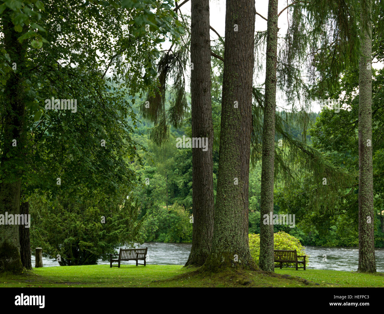 Dunkeld Tree Stock Photos & Dunkeld Tree Stock Images - Alamy