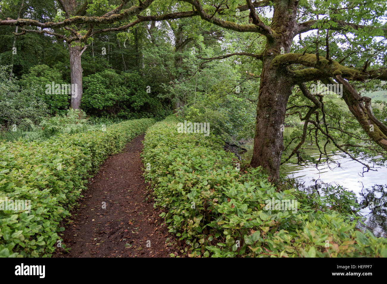 Loch Oich, Great Glen, Scottish Highlands, Scotland Stock Photo - Alamy