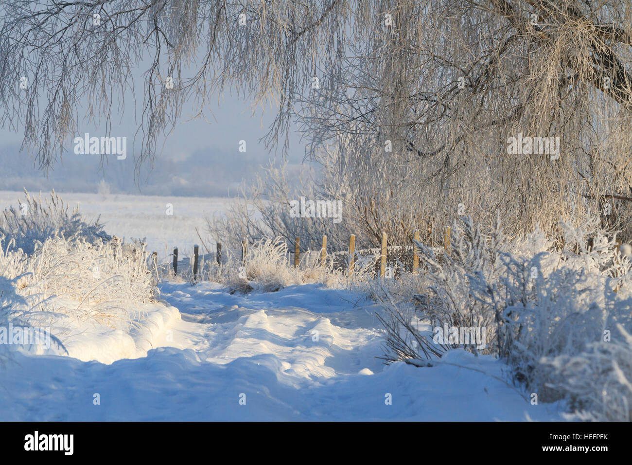 Rural road snow packed hi-res stock photography and images - Alamy