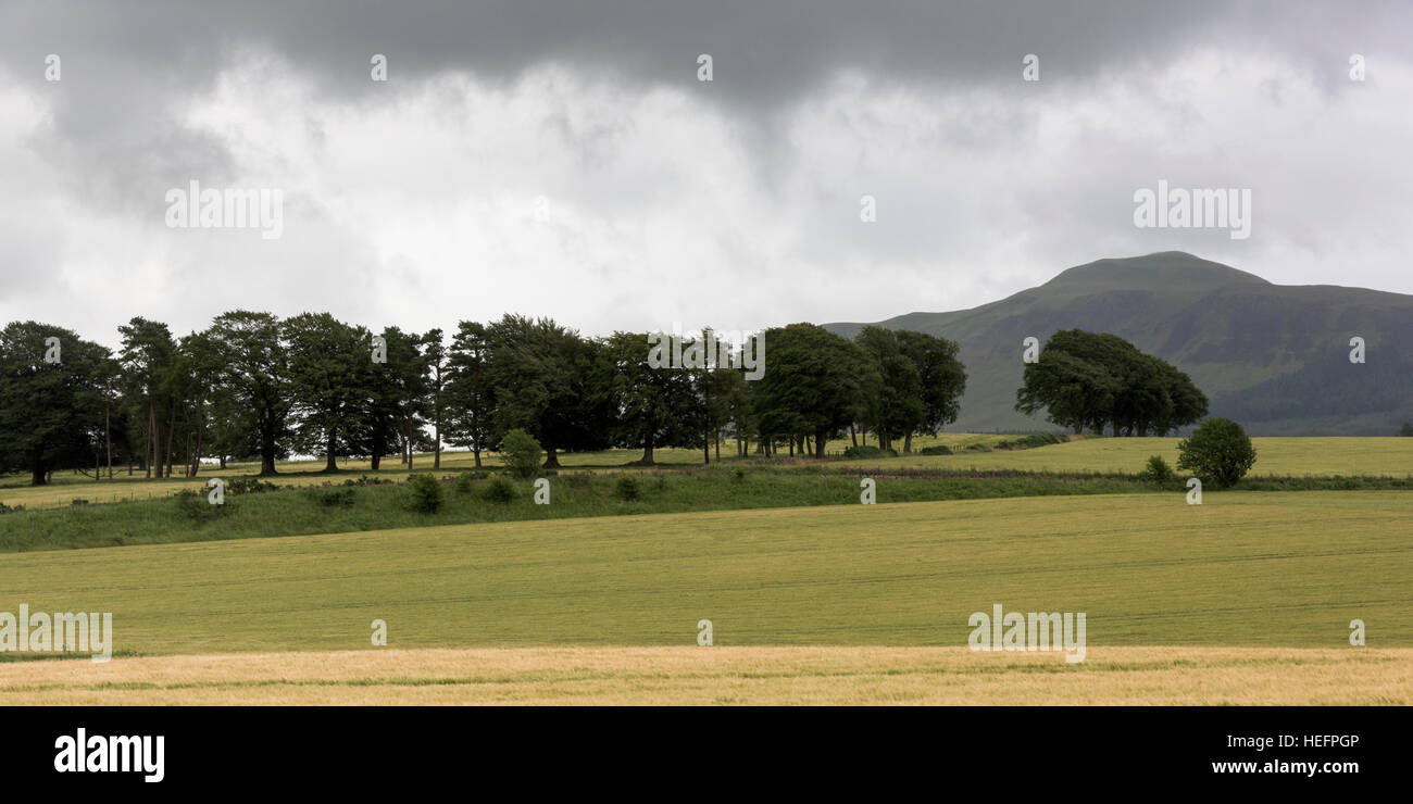 Milnathort scotland hi-res stock photography and images - Alamy