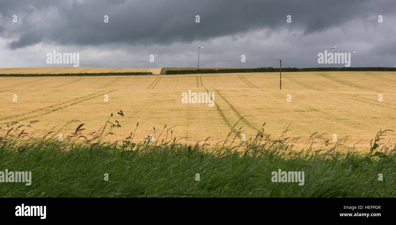 Perth and Kinross, Scotland Stock Photo - Alamy